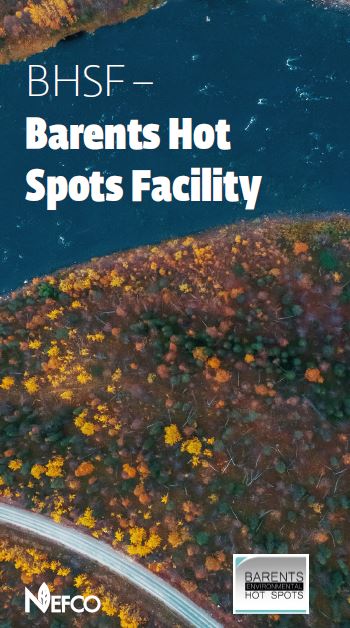 BHSF brochure 2020 EN | Nefco