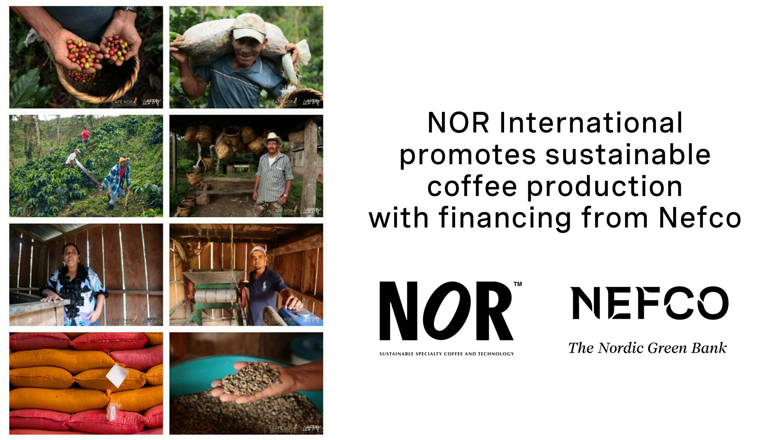 NOR International sikrer finansiering fra Nefco | Nefco