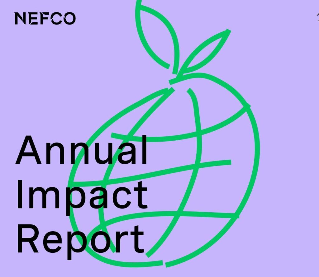 Nefco in 2022: more SMEs receiving growth financing | Nefco