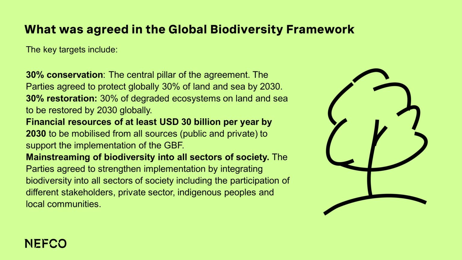 Global Biodiversity Framework: outcomes and next steps | Nefco