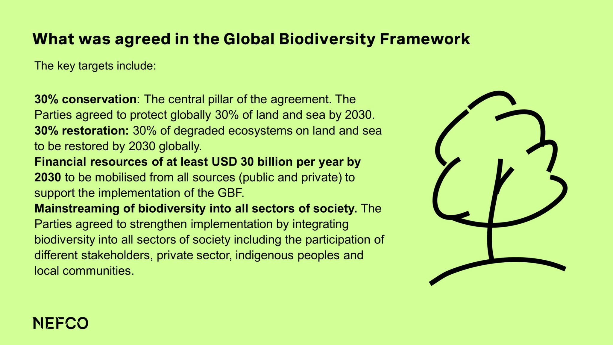 Global Biodiversity Framework: outcomes and next steps | Nefco