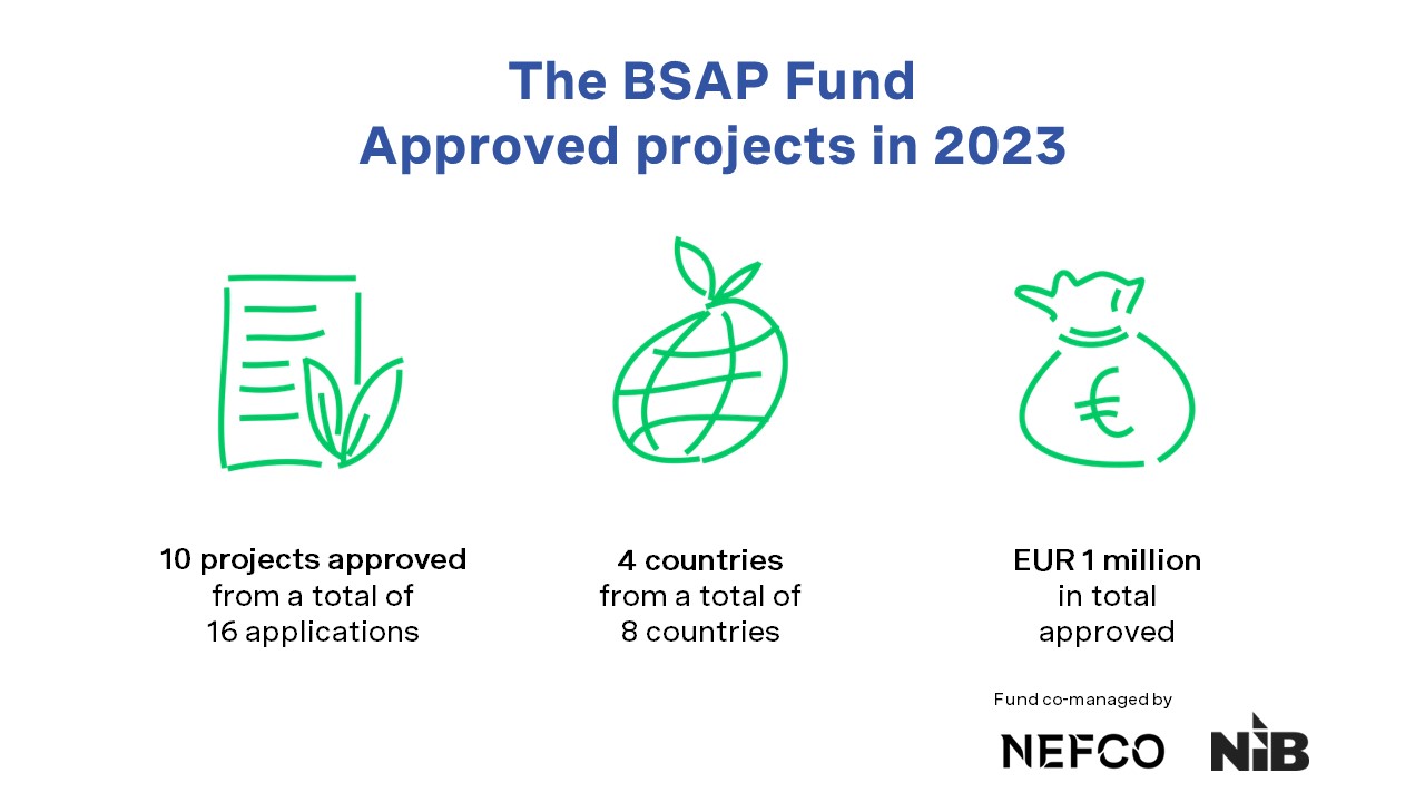 BSAP Fund grants EUR 1 million to 10 new projects | Nefco