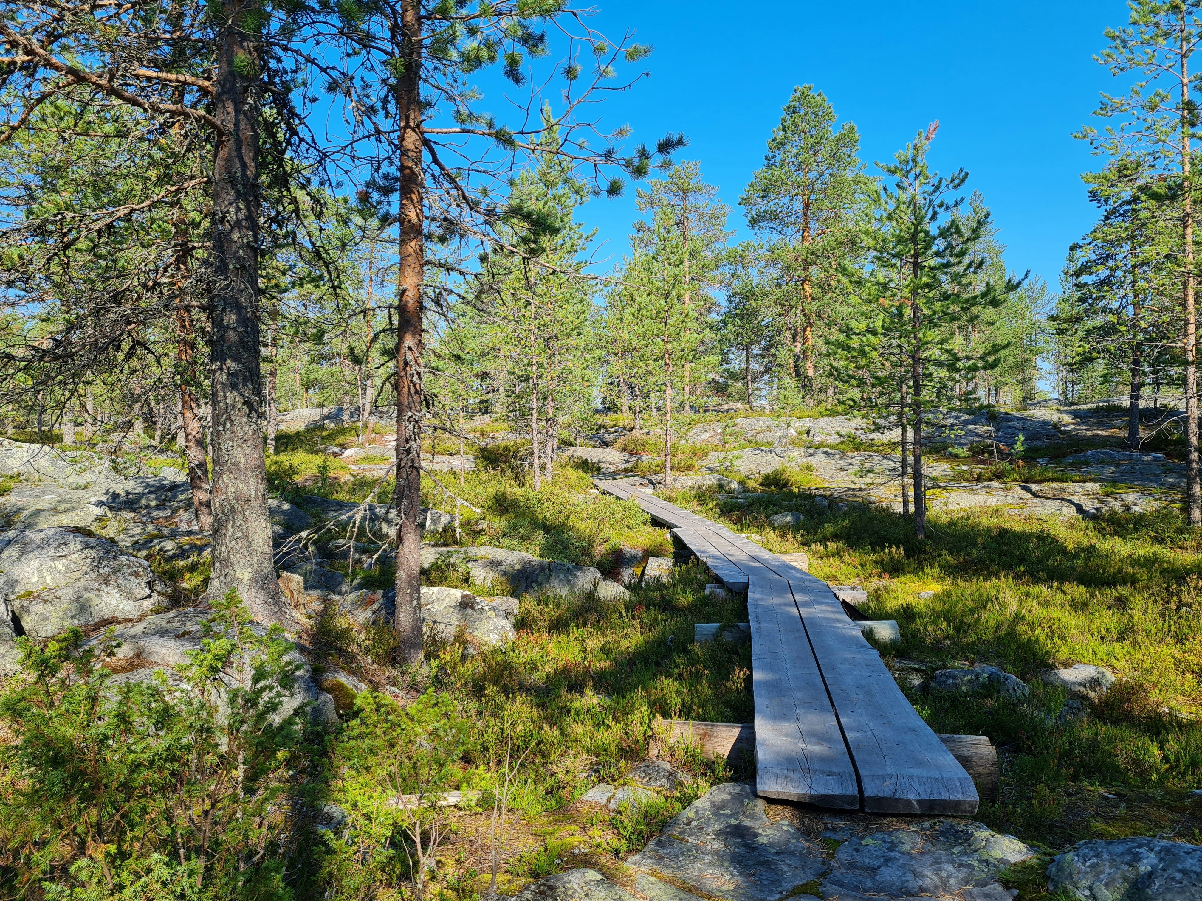 Nefco and carbon market mechanisms | Nefco