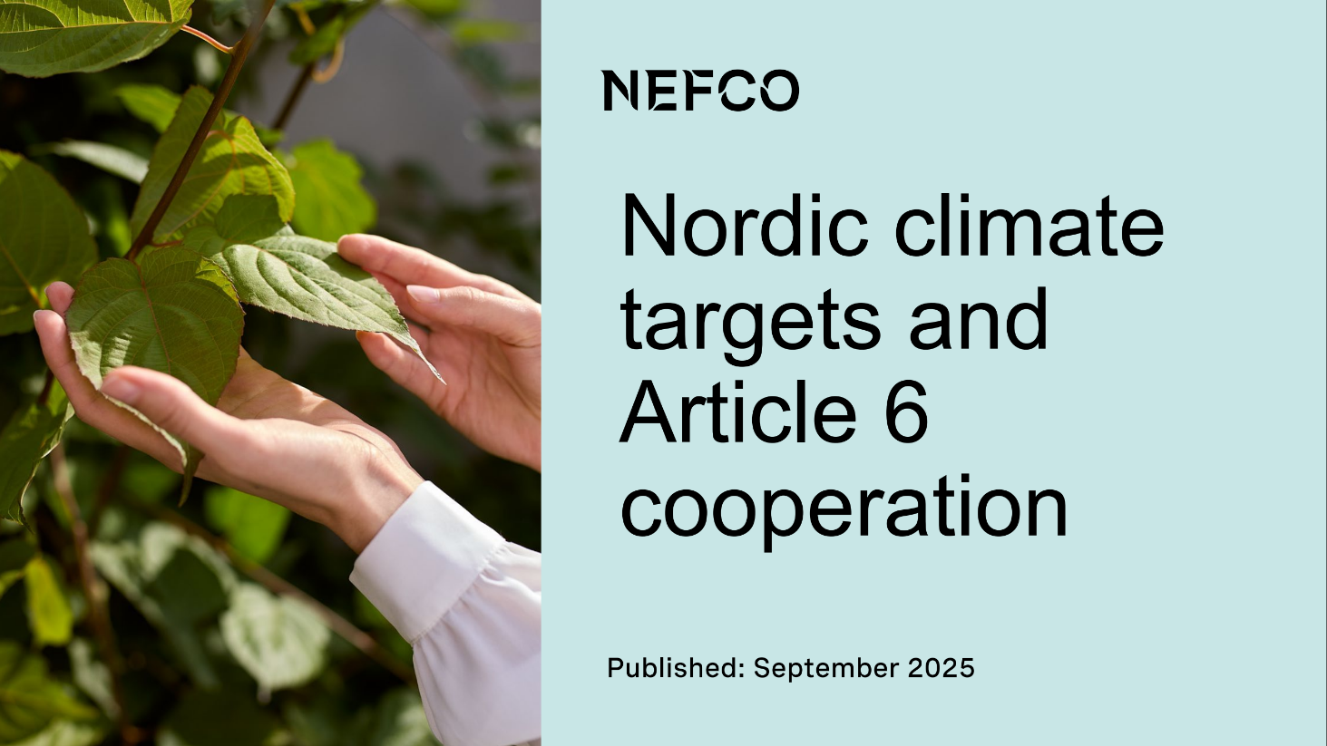 Nordic climate targets and Article 6 cooperation | Nefco