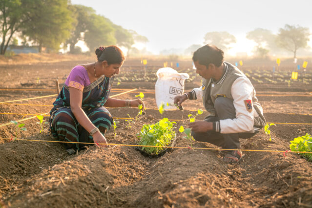 MASH Makes turns agricultural waste into valuable materials | Nefco